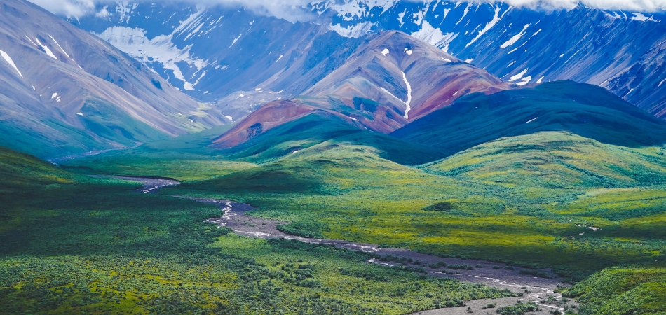 Park Narodowy Denali na Alasce - Informator | Niceland