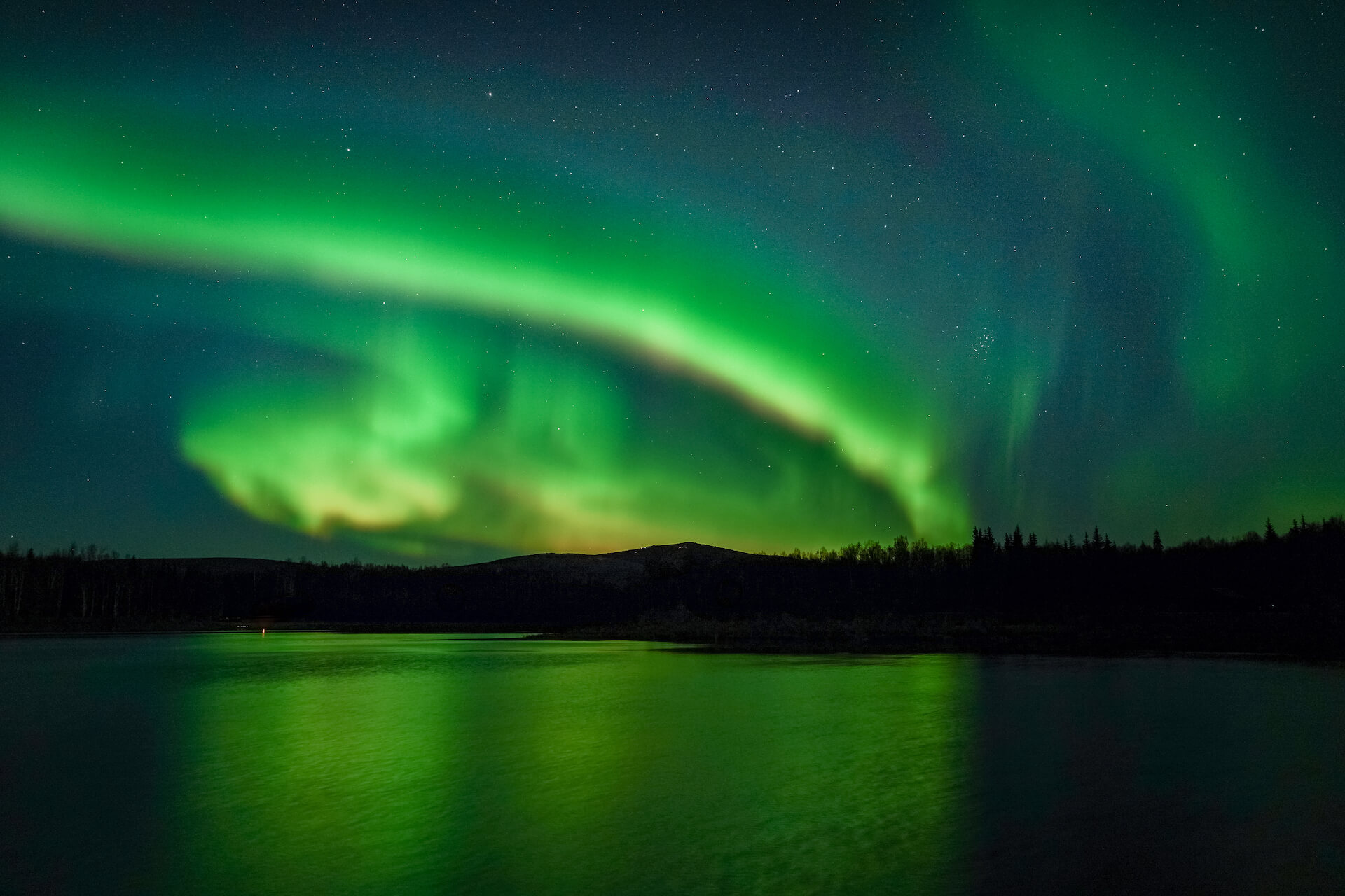 Ciekawostki o Alasce - 25 zaskakujących faktów - Alaska | Niceland