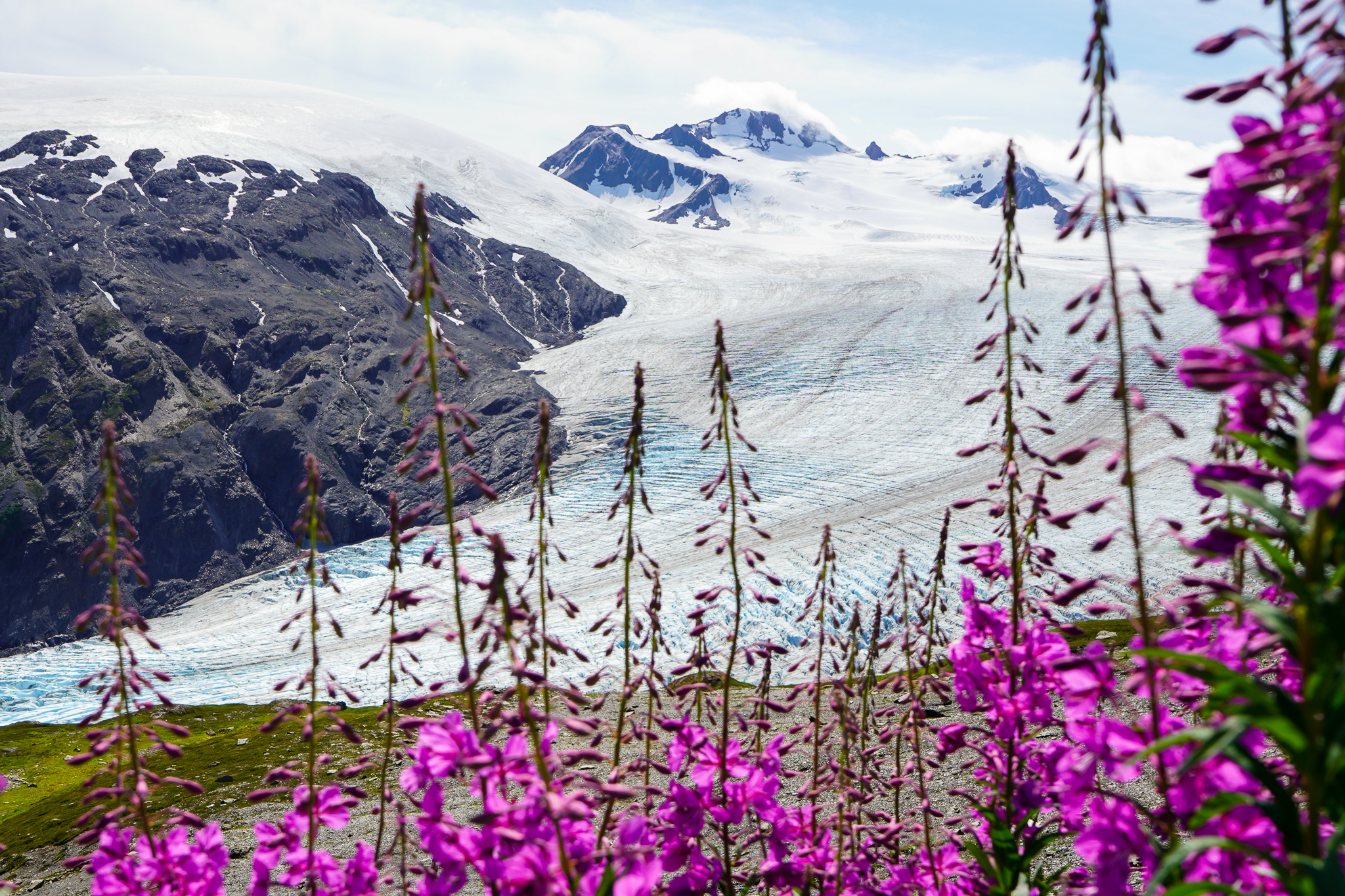 Parki Narodowe na Alasce | Niceland